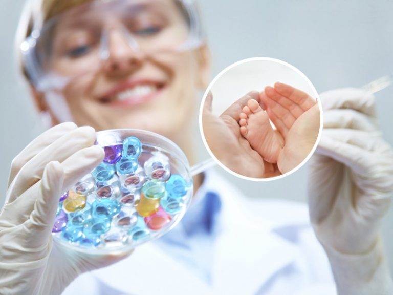 Implantación de embrion: cómo se produce la implantación? | VittoriaVita